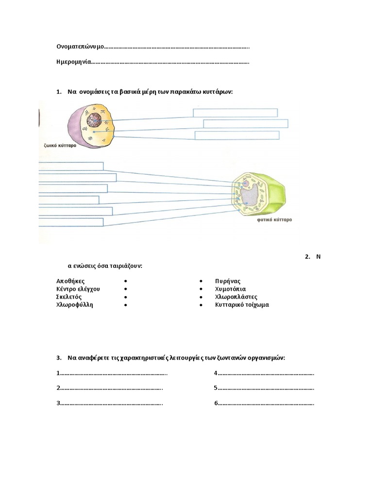 Fysikh | PDF