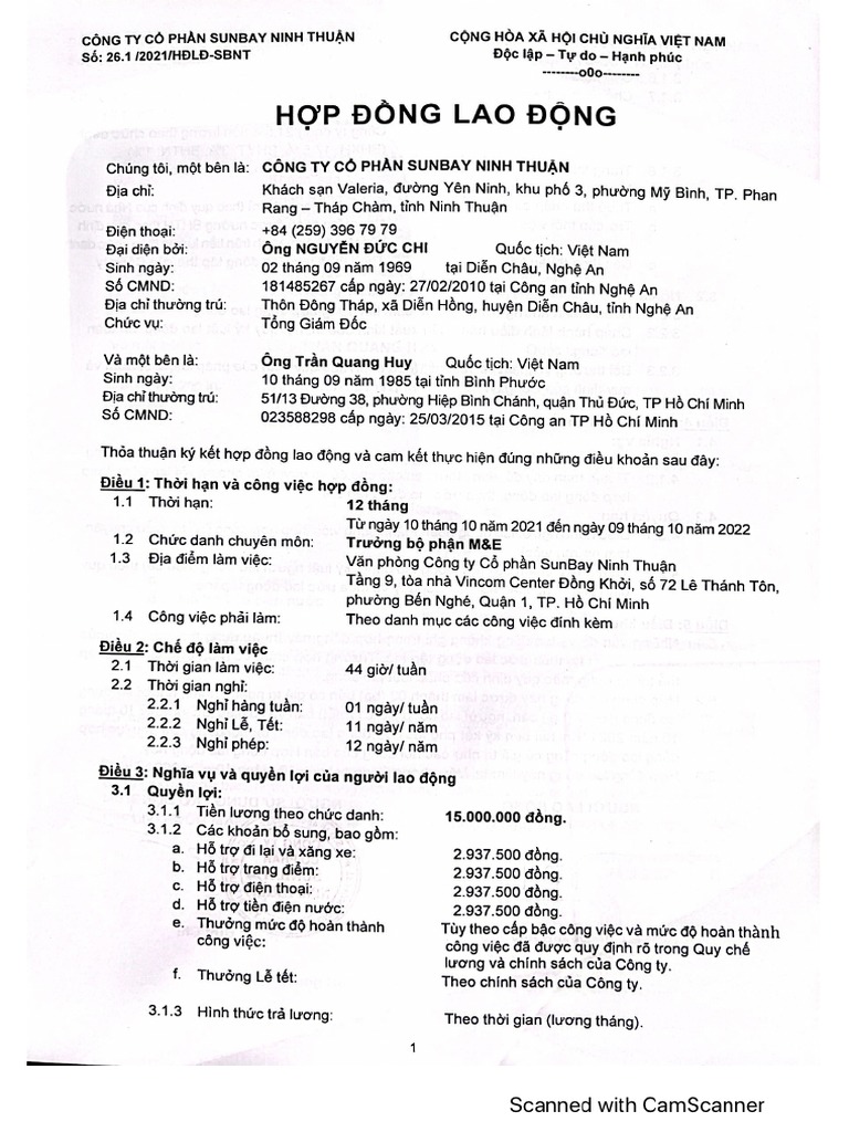 HDLD Huy Translation | PDF