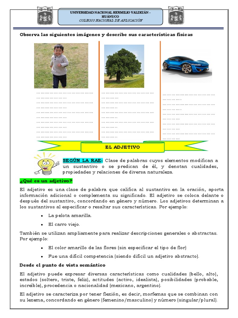 Observa Las Siguientes Imágenes y Describe Sus Características Físicas ...