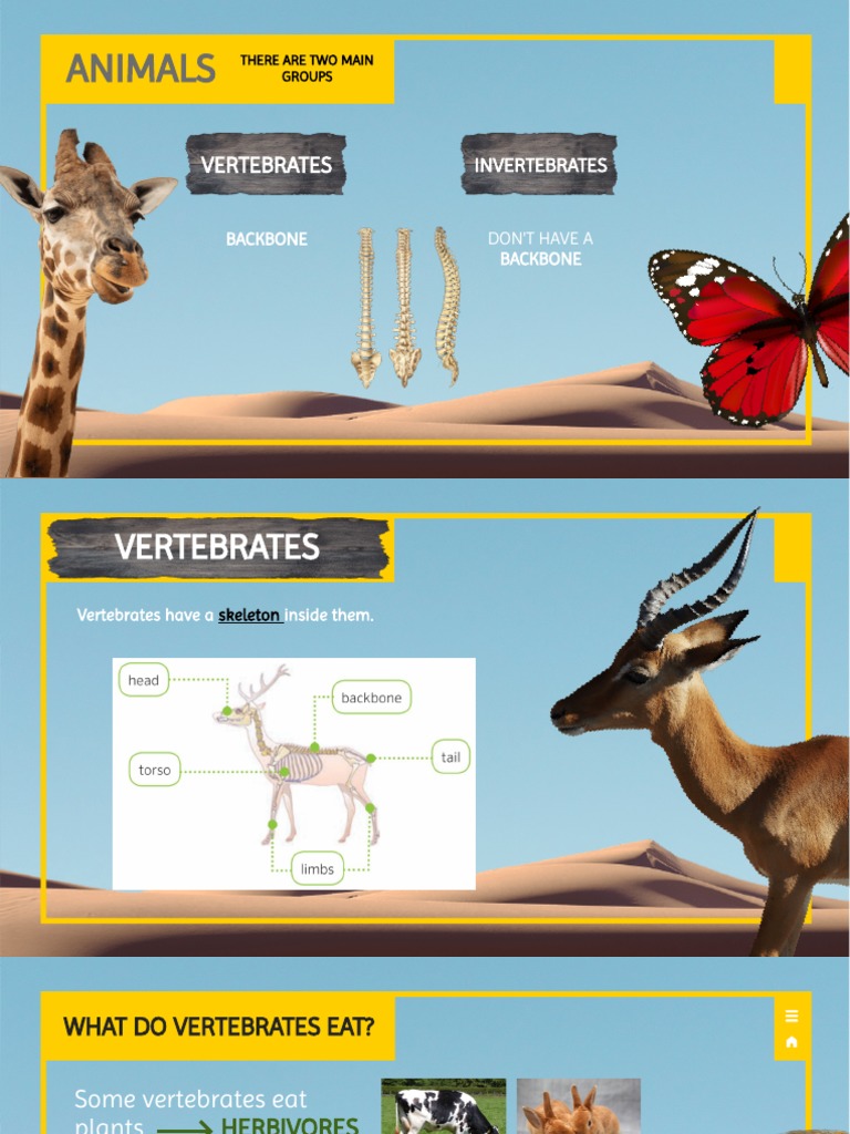 Classification of Animals: A Guide to the Main Groups of Vertebrates ...