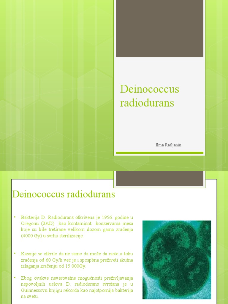 Deinococcus Radiodurans | PDF
