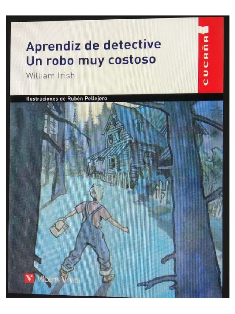 Aprendiz de detective. Un robo muy costoso. William Irish.pdf | PDF