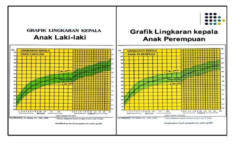 Lingkar Kepala | PDF