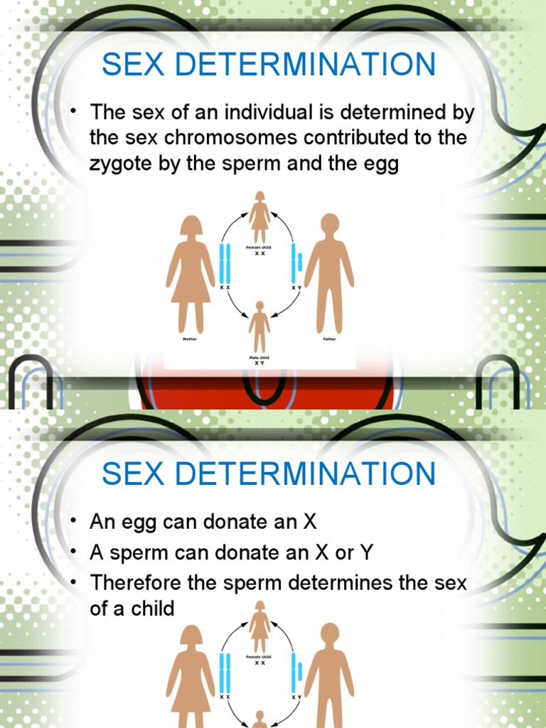 Sex Linkage 2 Pdf Dominance Genetics Genetic Disorder