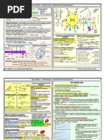 S Zoubair Cours 2PC Biof Muscle 2partie | PDF | Muscle | Contraction du muscle