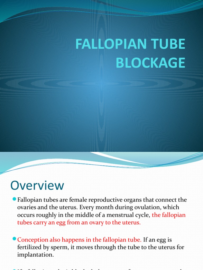 Fallopian Tube Blockage Guide | PDF | Uterus | Mammal Reproductive System