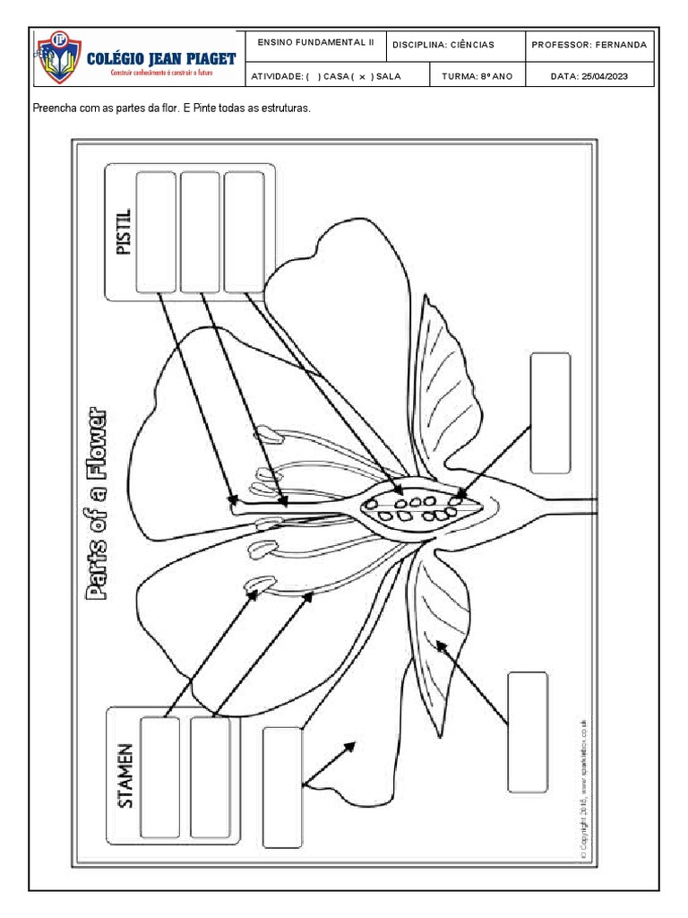 Atividade ANATOMIA DA FLOR | PDF