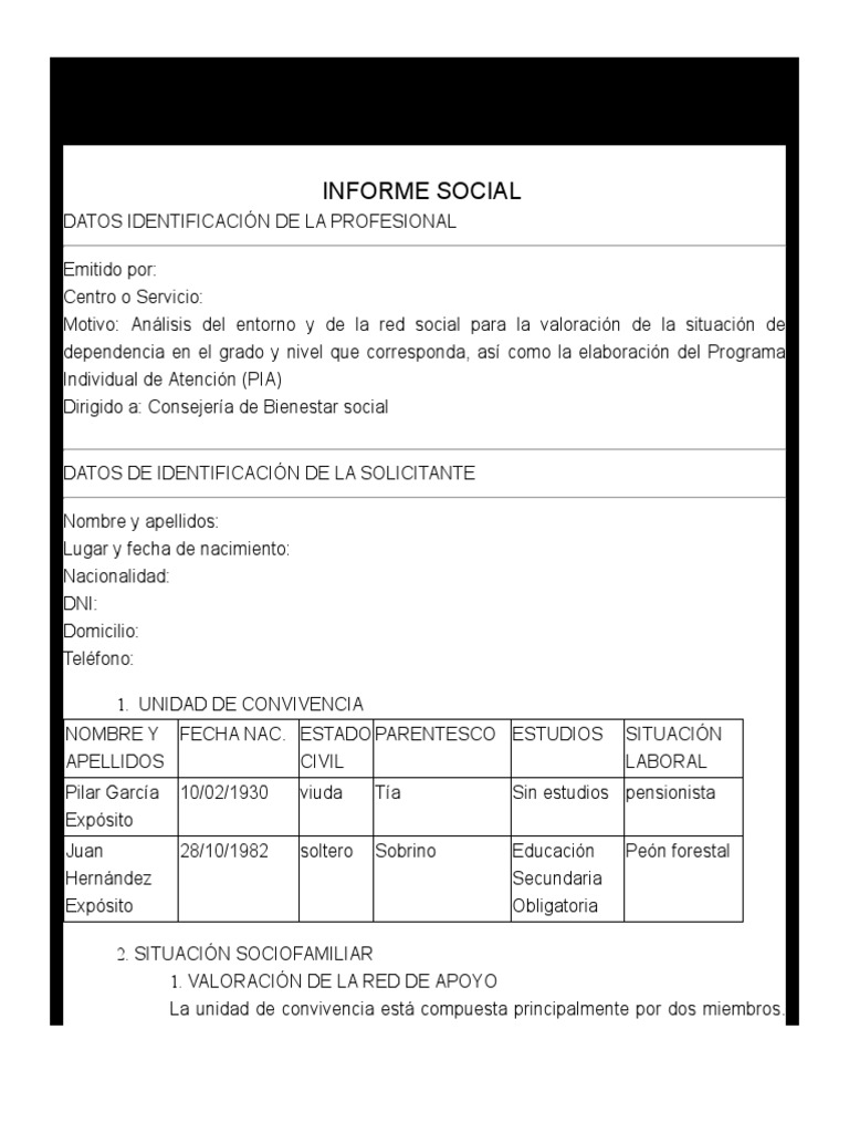 Modelo Informe Social | PDF | Relaciones personales, crianza y desarrollo personal