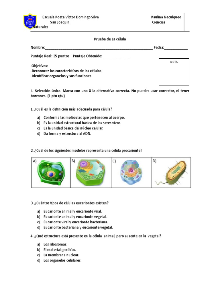 Prueba de La Célula | PDF | Biología Celular) | Citoplasma