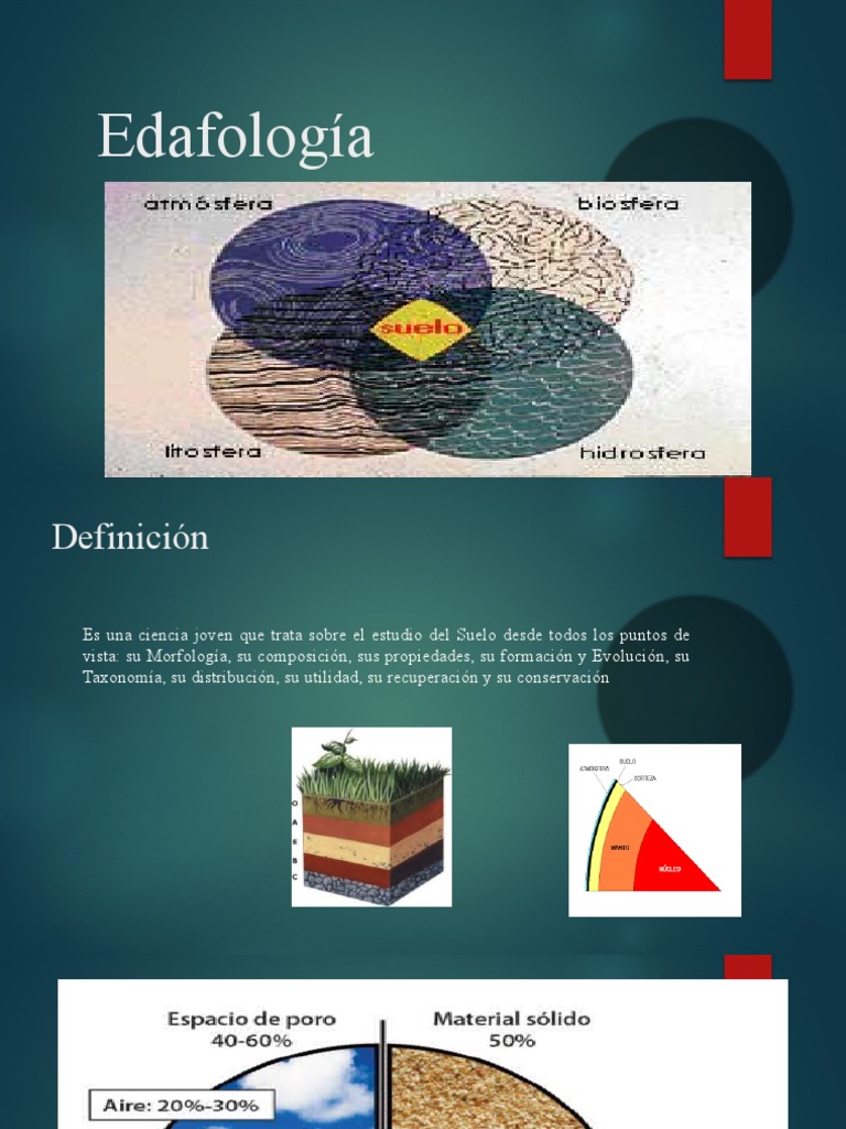Definición de Edafología | PDF | Suelo | Roca (geología)