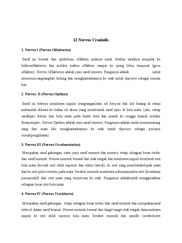12 Nervus Cranialis A | PDF