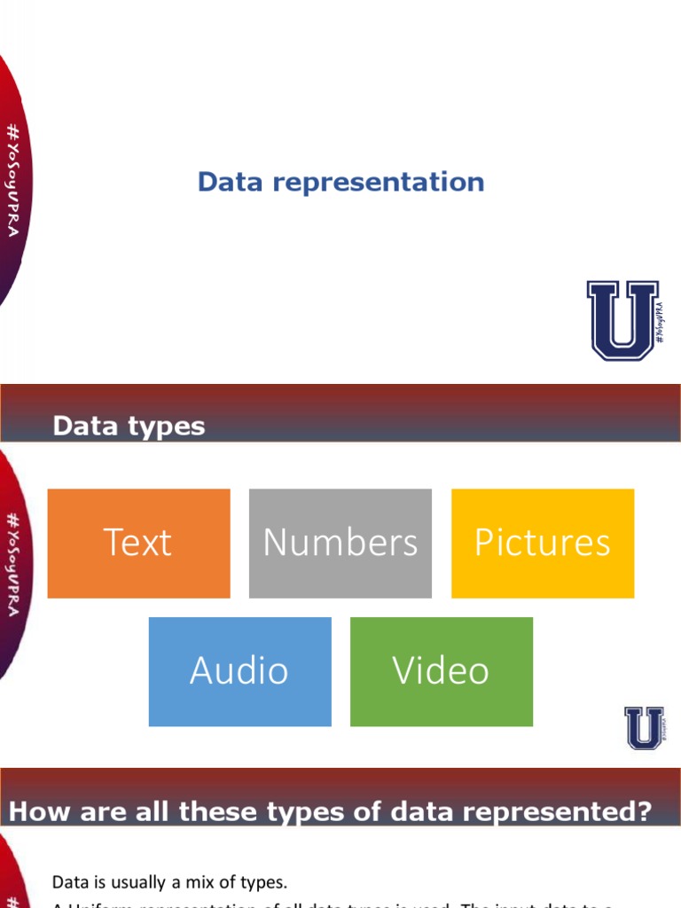 Presentación Data Representation | PDF