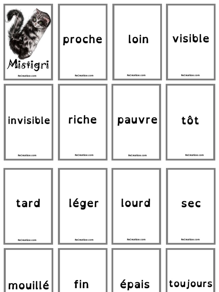 MISTIGRI Des Contraires | PDF