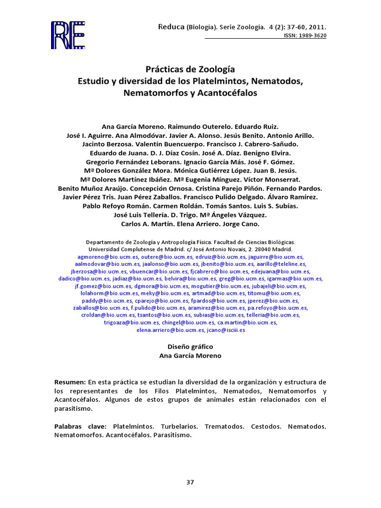 Protostomos UncomMadrid Taller PDF | PDF | Biología | Anatomía