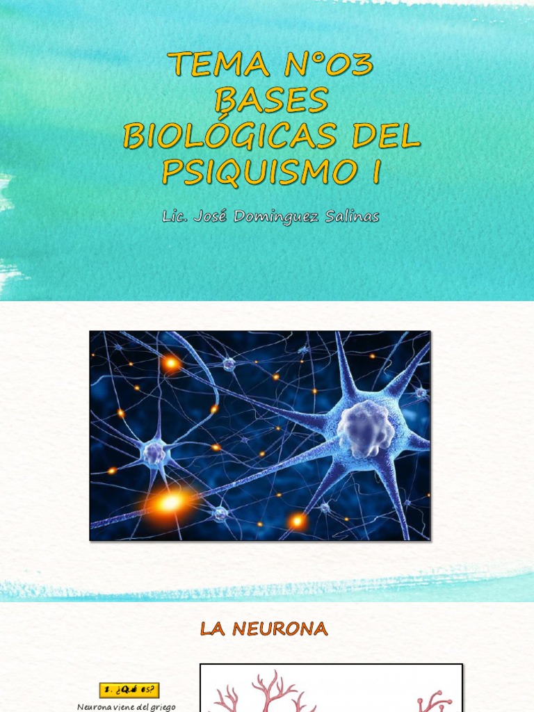 BASES BIOLÓGICAS DEL PSIQUISMO ( I ) PSICOLOGÍA 5° SEC..pdf | PDF ...