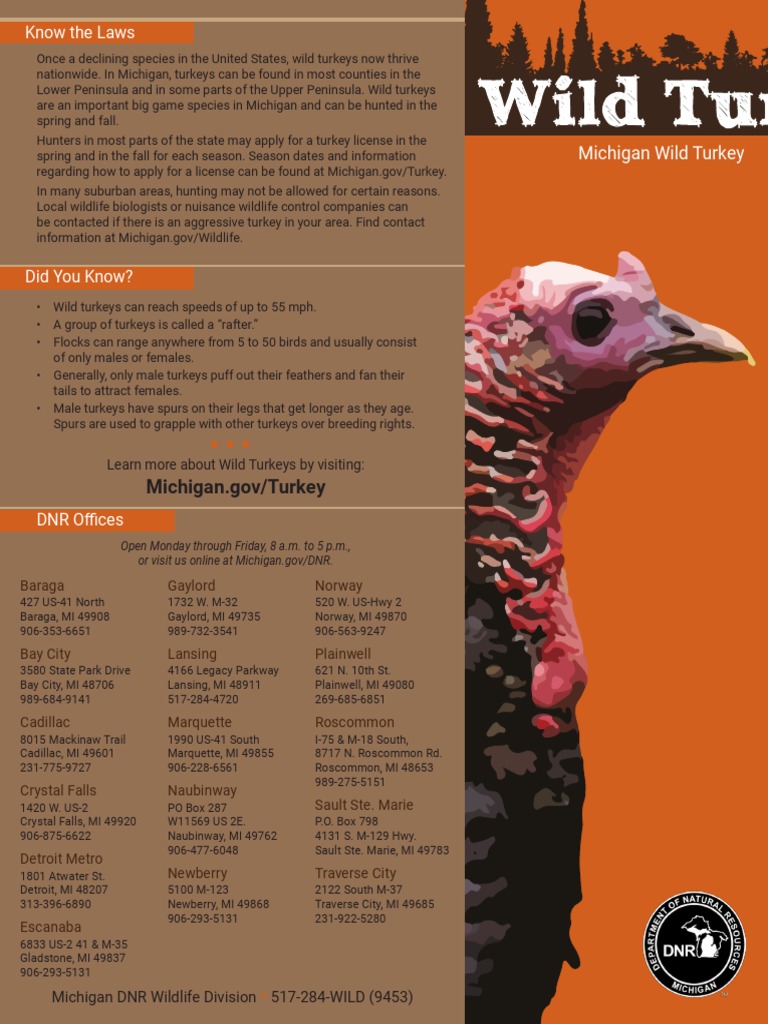 Turkey Smart Brochure | PDF | Birds | Ornithology
