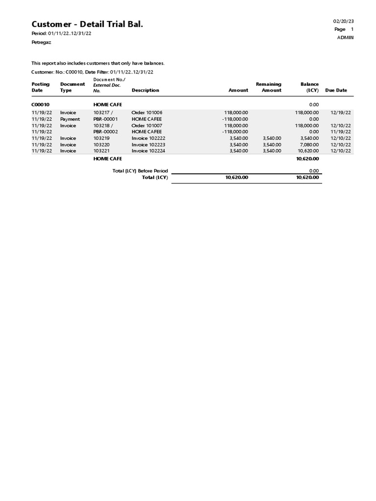 Customer - Detail Trial Balance | PDF