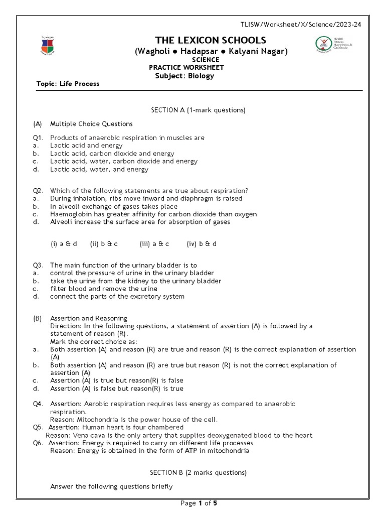 TLS - X - Science - Holiday HW Worksheet - 2023-24 | PDF | Refraction | Refractive Index