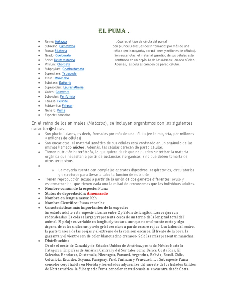 El Puma PDF - 230512 - 124928 | PDF | Puma | Pulmón