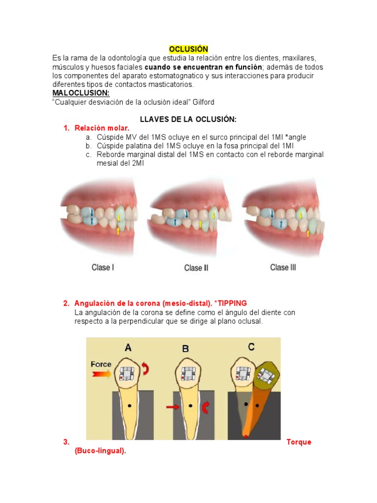 OCLUSION | PDF | Ortodoncia | Odontología