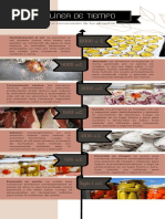 Evolución de la Conservación de Alimentos | PDF | Conservación de los alimentos | Alimentos