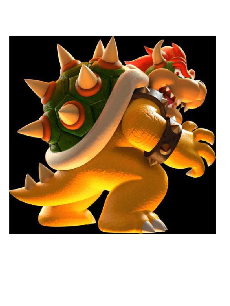 Bowser 2 PDF | PDF