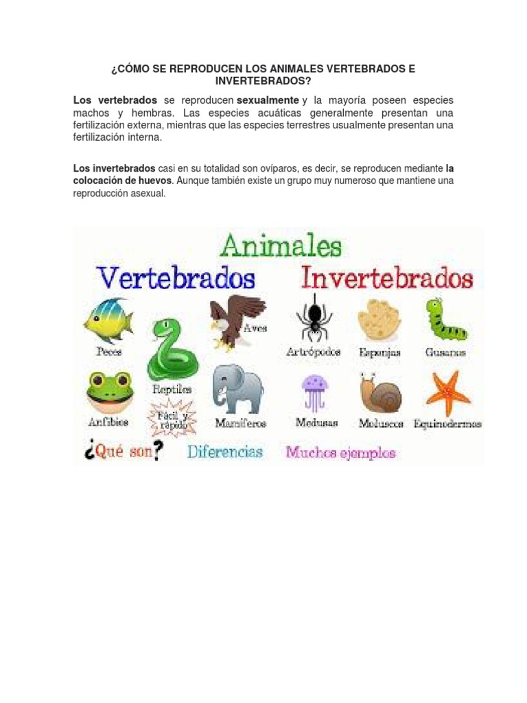 Cómo Se Reproducen Los Animales Vertebrados e Invertebrados | PDF