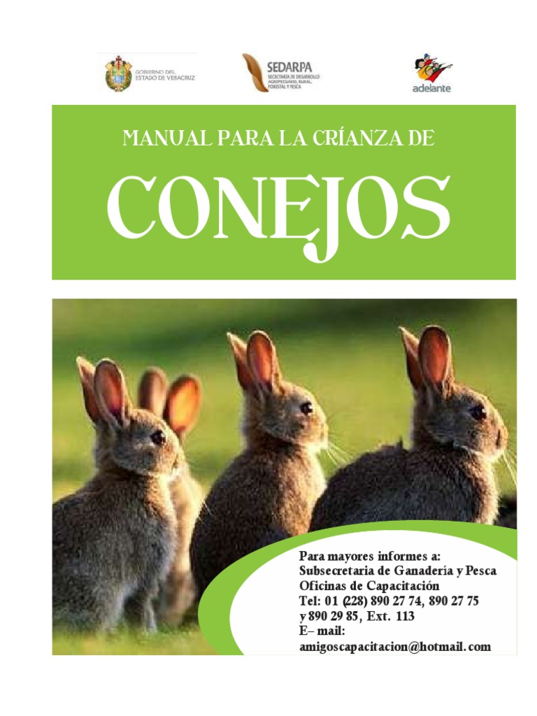 Conejos Parte 1 Pdf Carne