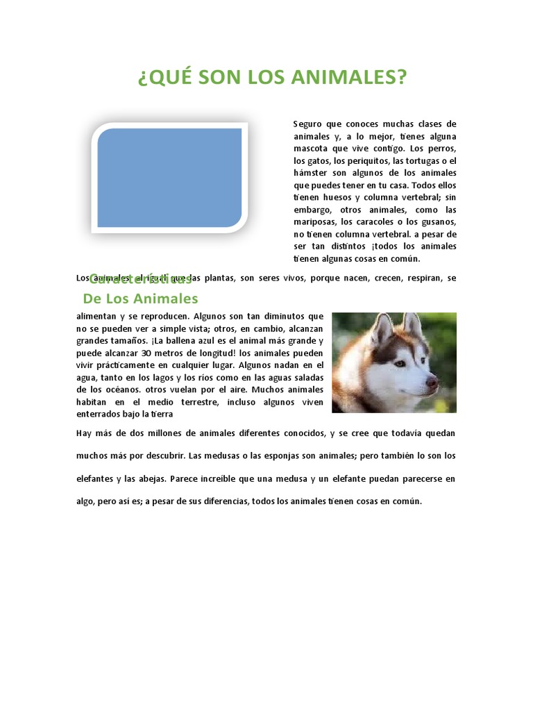 01 Ques Son Los Animales | PDF | Tierra | Tortuga