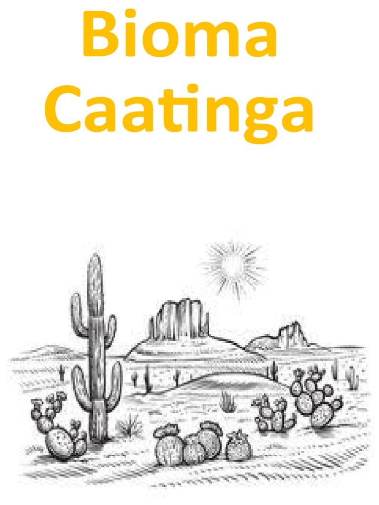 Bioma Caatinga | PDF | Brasil | Desmatamento