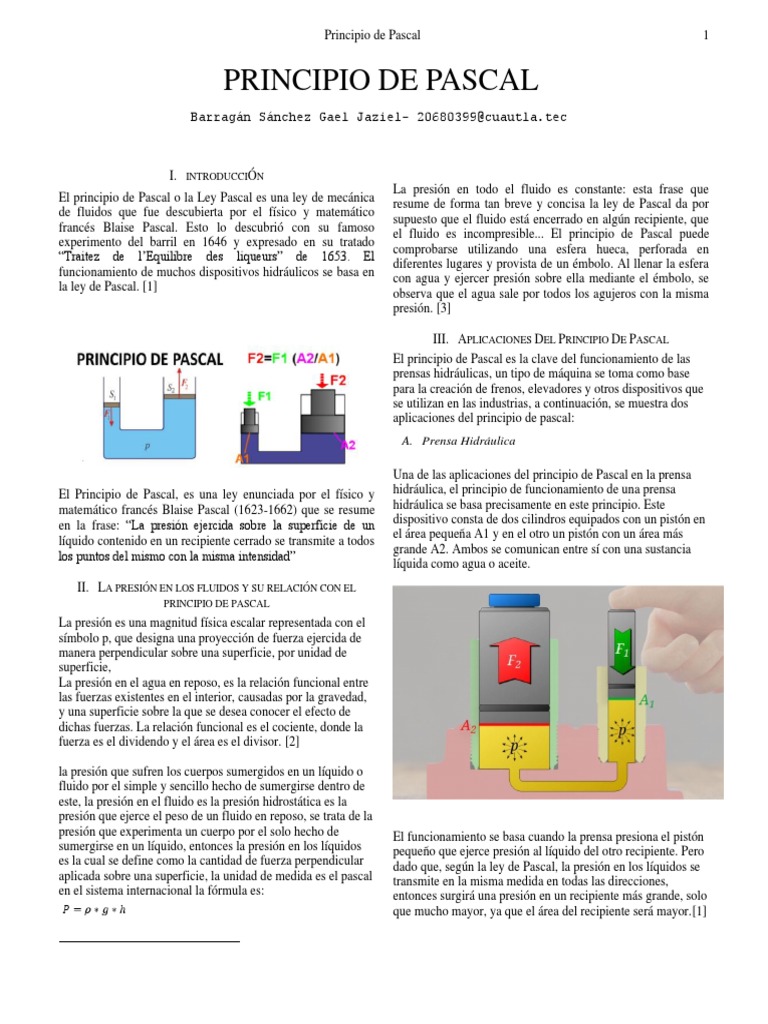Principios básicos de Pascal | PDF | Presión | Mecánica de Medios Continuos