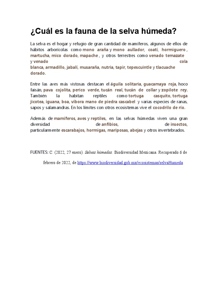 Fauna de la Selva Húmeda en México | PDF | Ciencia y matemáticas