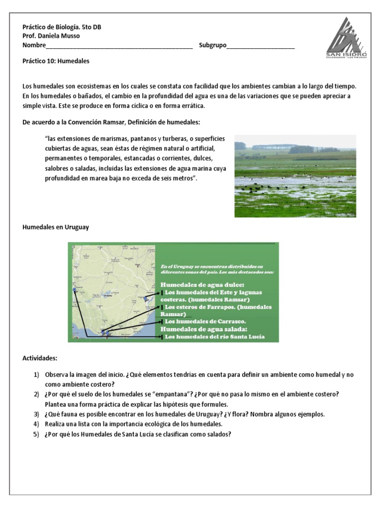 Practico 10 Humedales | PDF