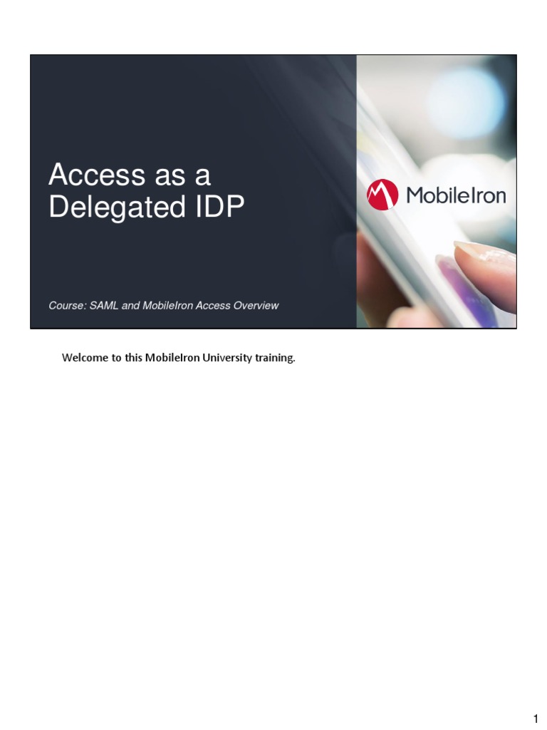 Access As Delegated IdP | PDF
