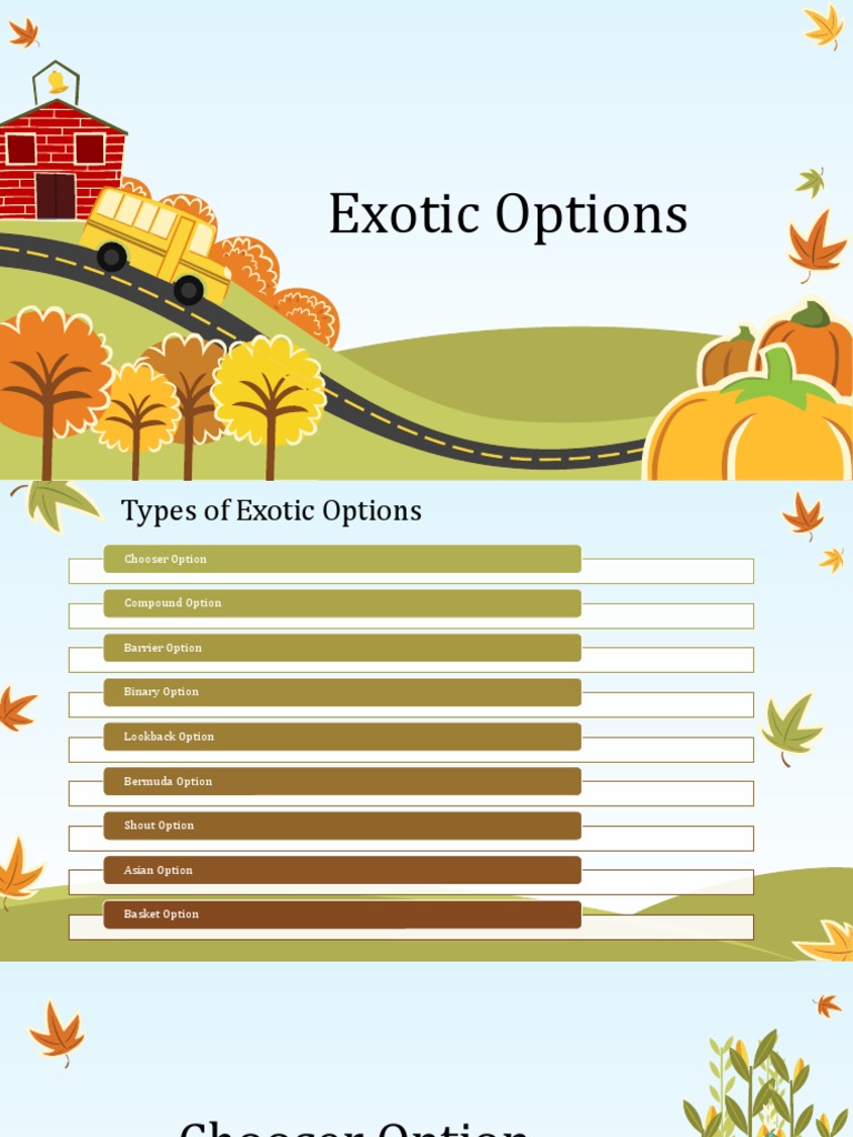 Types of Exotic Options Explained | PDF | Option (Finance) | Derivative ...