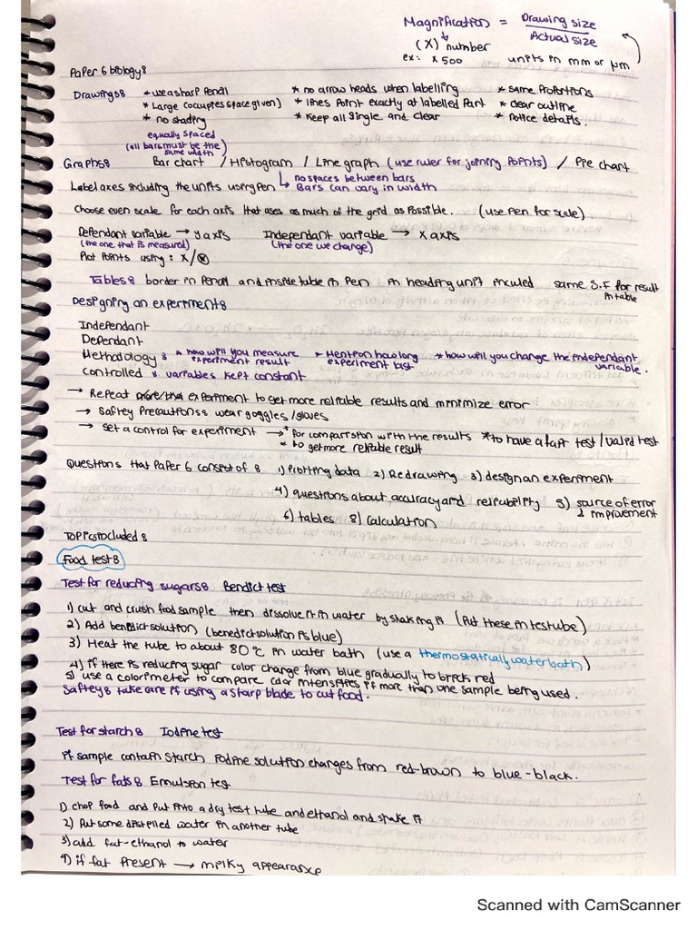 Paper 6 Biology ) | PDF