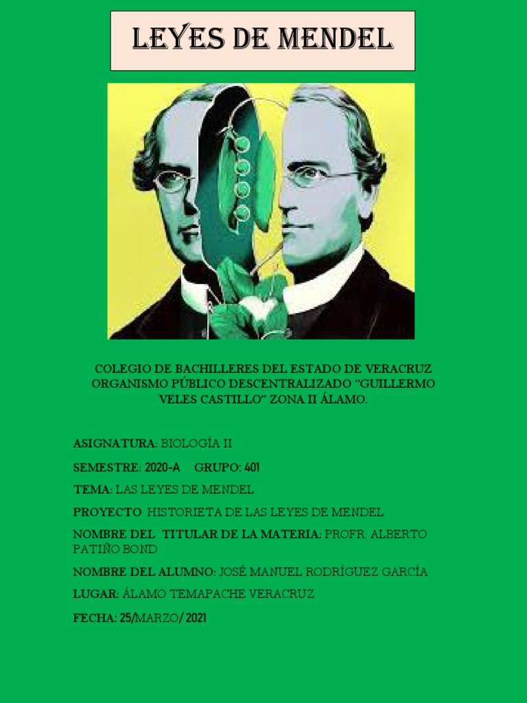 Historieta de Las Leyes de Mendel | PDF | Dominancia (Genética) | Alelo