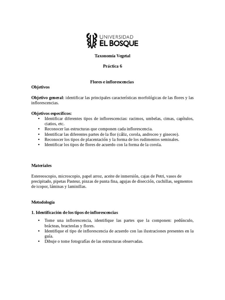 Práctica 4 - Flores e Inflorescencias | PDF | Flores | Plantas