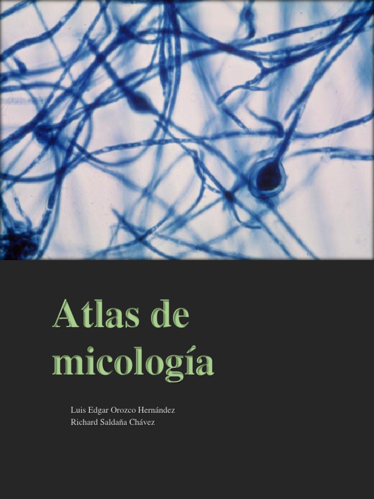 Atlas de Micología | PDF | Micología | Organismos