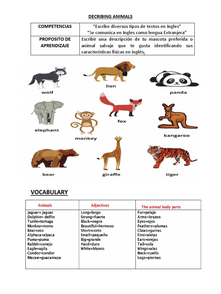 Descripción de Animales en Inglés | PDF