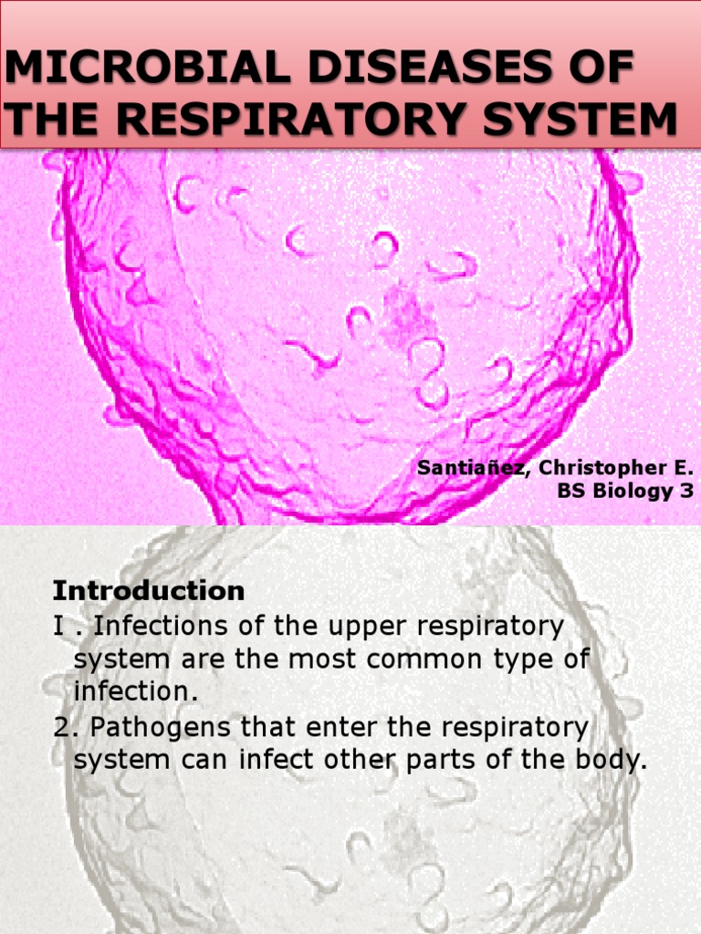 Microbial Diseases of The Respiratory System | PDF | Tuberculosis ...