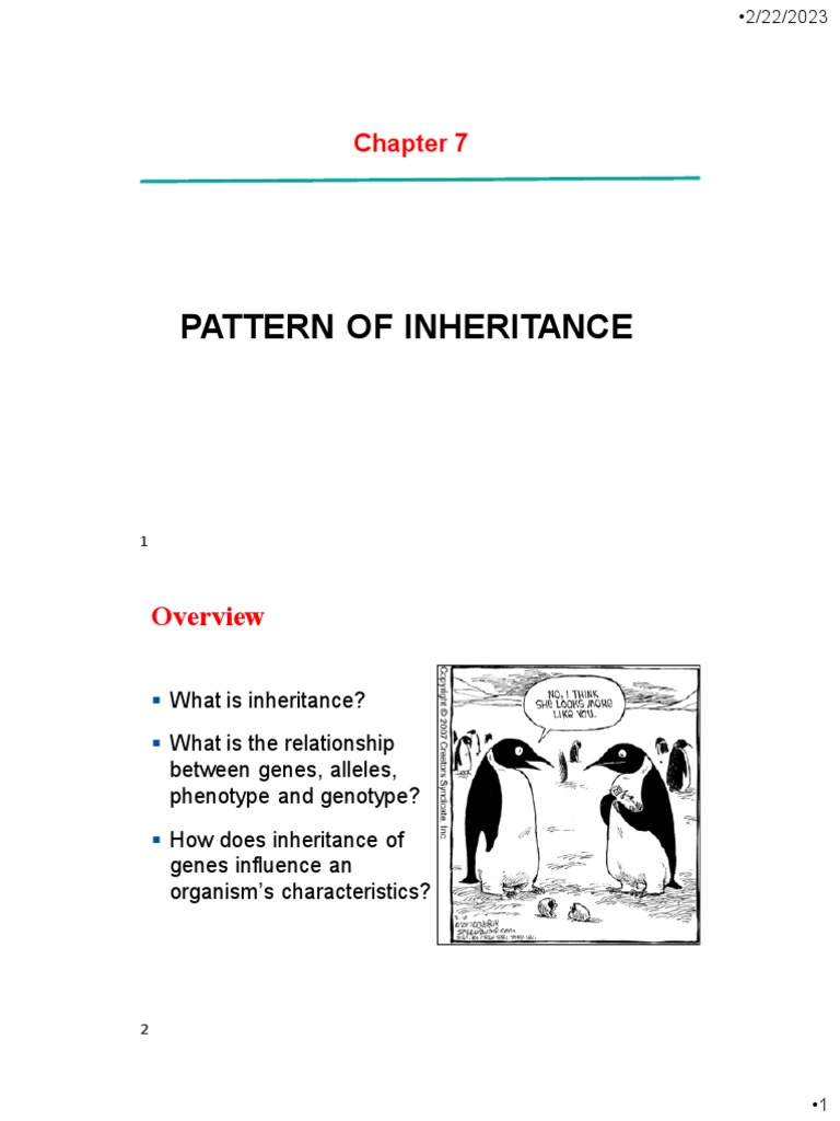 Patterns of Inheritance: A Comprehensive Overview of Genetic Inheritance Mechanisms including ...