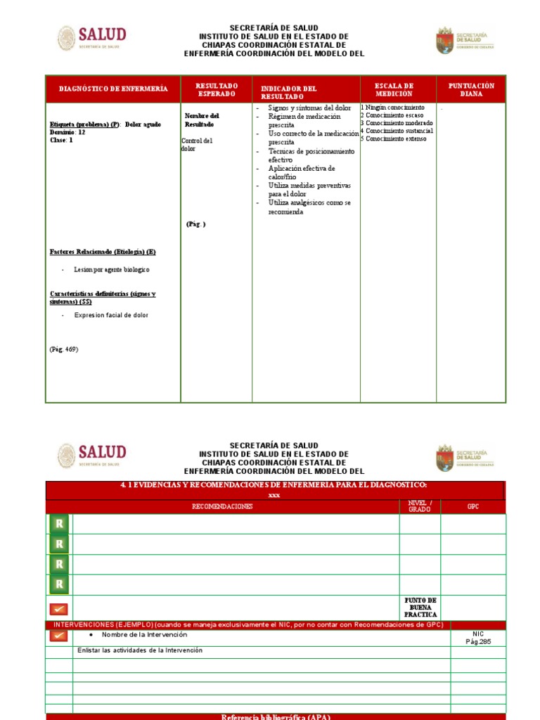 Place Dolor Agudo | PDF | Dolor | Síntoma