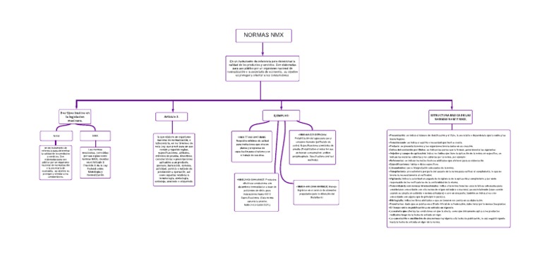 Mapa Conceptual Normas - Espinoza Vázquez Reina | PDF