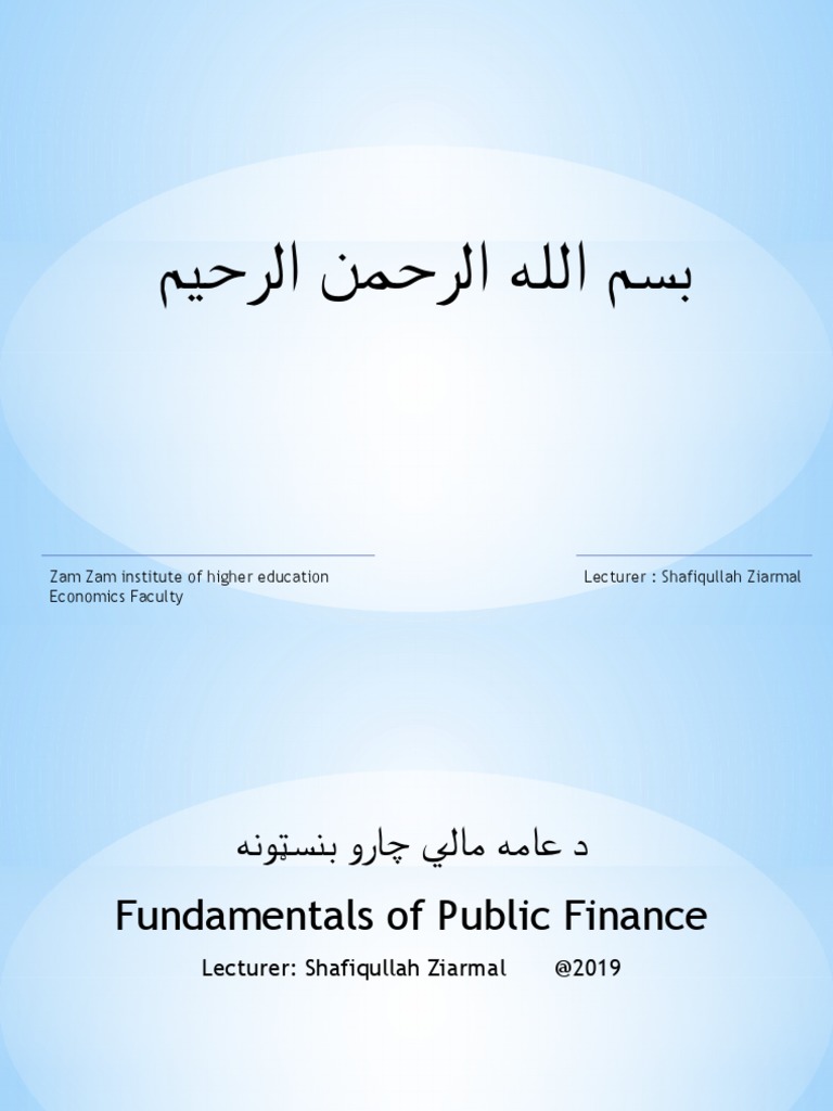 Fundamentals of Public Finance | PDF