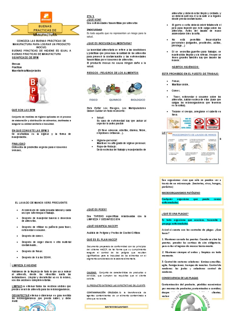 Triptico Bpm. | PDF | Análisis de Riesgo y Puntos Críticos de Control | Higiene