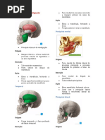 Suturas Do Crânio Resumo | PDF | Anatomia | Anatomia humana