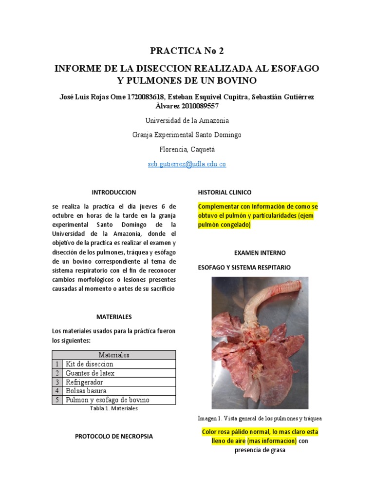 PRACTICA No 2 - SISTEMA RESPIRATORIO | PDF