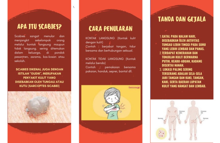 Leaflet Scabies | PDF