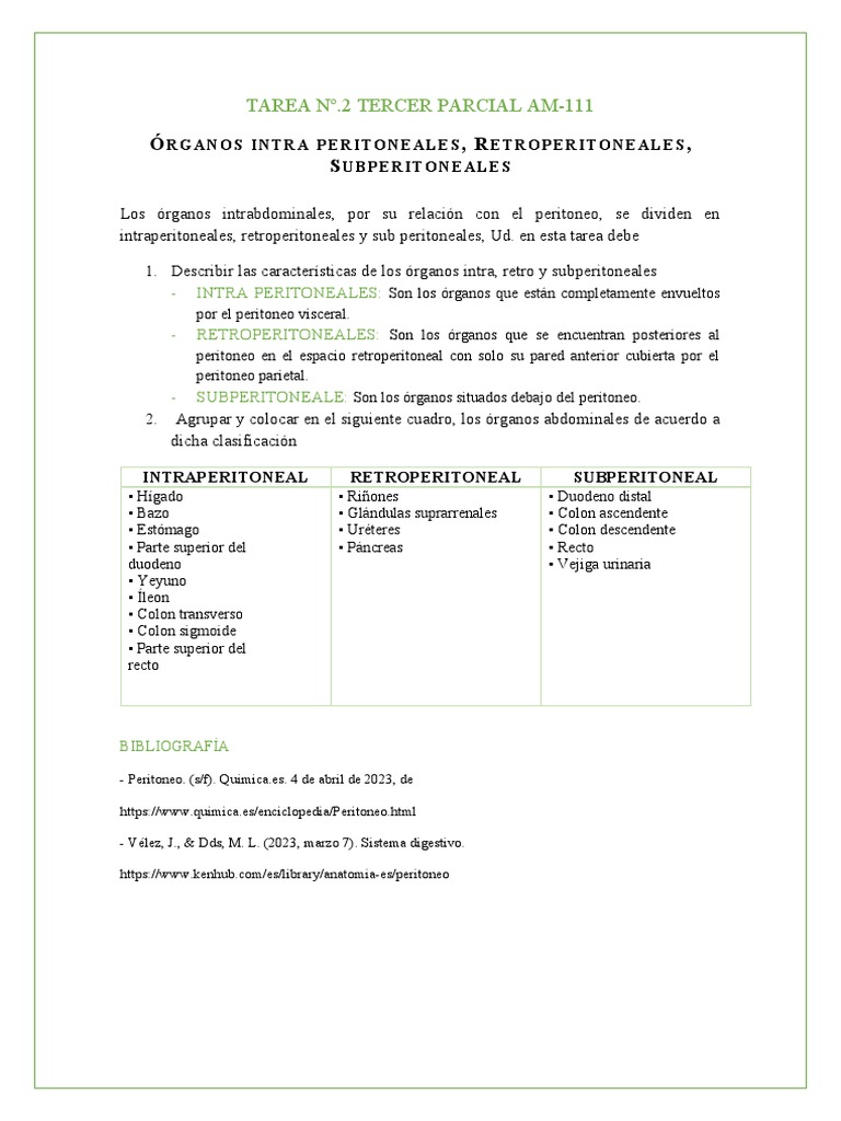Órganos intraperitoneales, retroperitoneales y subperitoneales | PDF